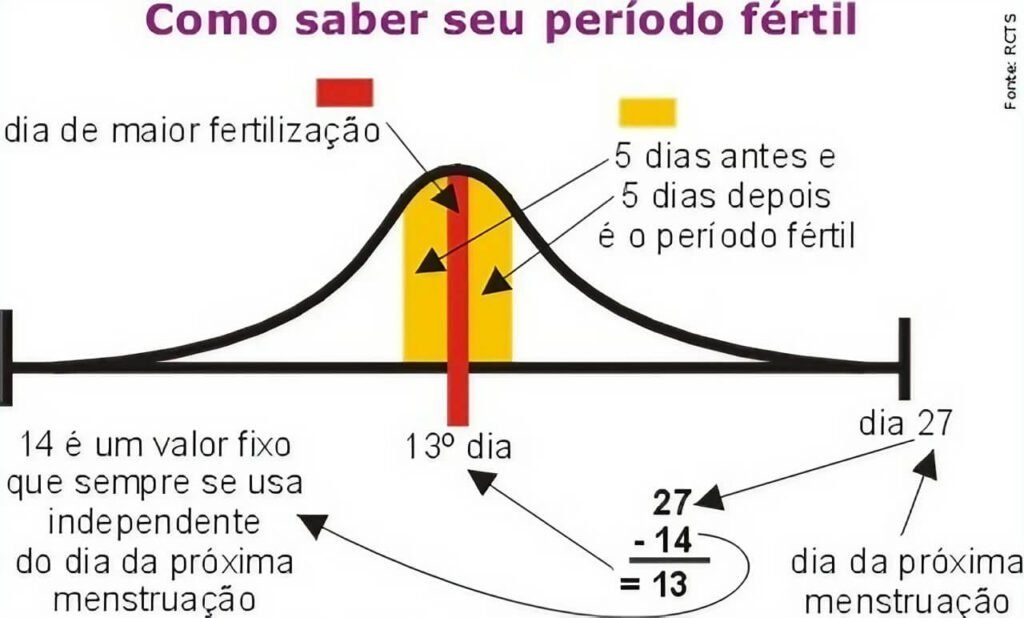 Calculadora do Período Fértil e Ovulação: Entenda seu Ciclo